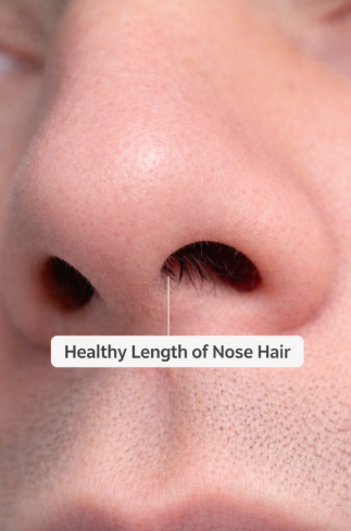 How Short Is Too Short for Nose Hair? Safe Length Guide